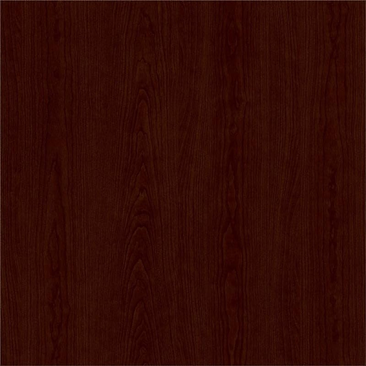 Scranton & Co 60" Transitional Engineered Wood L-Computer Desk in Harvest Cherry