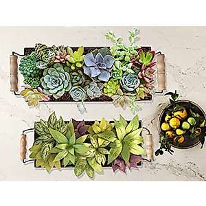 ShabbyDecor Galvanized Metal Trough Succulent Planter Farmhouse Metal Tray Rustic Tabletop Centerpiece Décor Set of 2