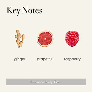 LAFCO New York Classic Candle, Champagne - 6.5 oz - 50-Hour Burn Time - Reusable, Hand Blown Glass Vessel - Made in The USA