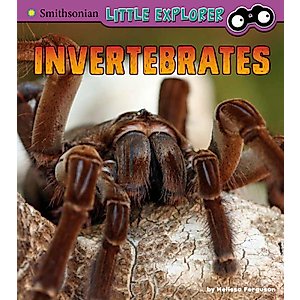 Invertebrates: A 4D Book (Little Zoologist) (Smithsonian Little Explorer)