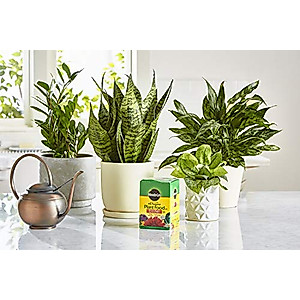 Miracle-Gro 2001123 All Purpose Plant Food Plant Fertilizer (6 Pack), 1.5 lb