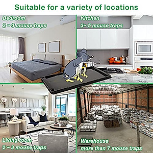 Mouse Trap, Glue Traps for Mice and Rats, Rat Traps Indoor,Heavy Duty Sticky Trap Mouse Insects Bed Bugs Spiders Cockroaches 10 Pack Large Size 10"×5"