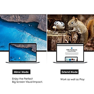 CableCreation DVI to HDMI Cable 5ft + USB C to VGA HDMI DVI Adapter