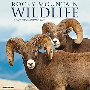 Rocky Mountain Wildlife 2023 Wall Calendar