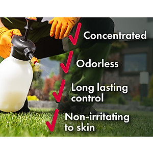 7.9% Bifenthrin Insecticide - 64 Ounces - (Compare to Leading Brands) – Professional Indoor & Outdoor Insect Control - Kills on Contact - Fire Ants, Ticks, Gnats, Fleas & More