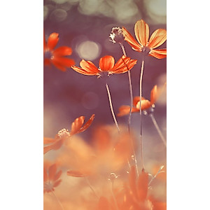 Artfen 6 Pcs Artificial Calliopsis Flowers Fake Silk Flower Table Kitchen Home Garden Party Wedding Decoration Approx 24'' High Warm Autumn Orange No Vase