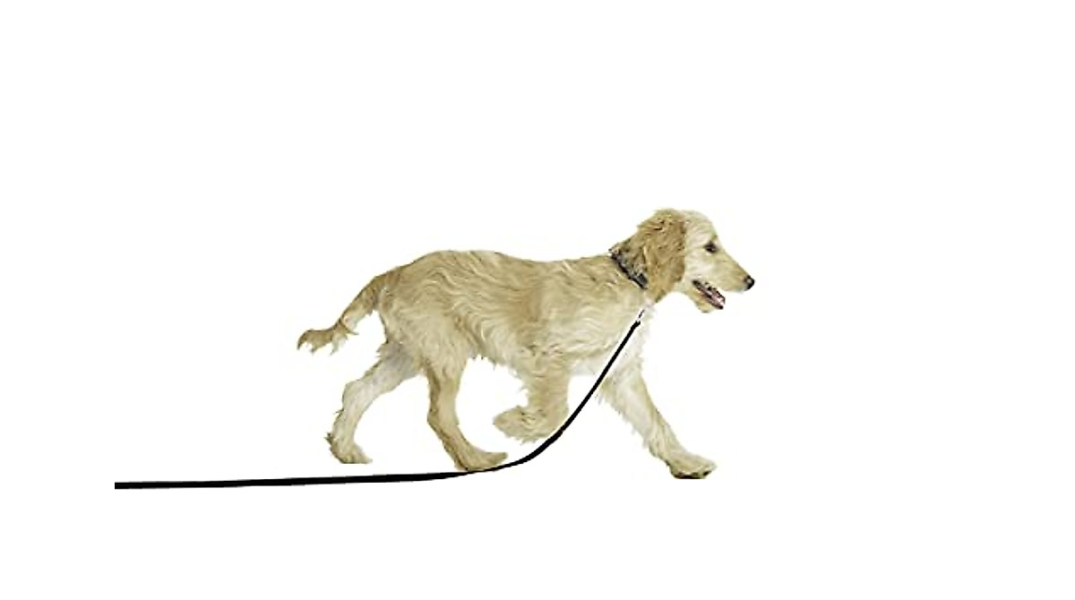COA Puppy Training Line - Easy Puppy Training Lead