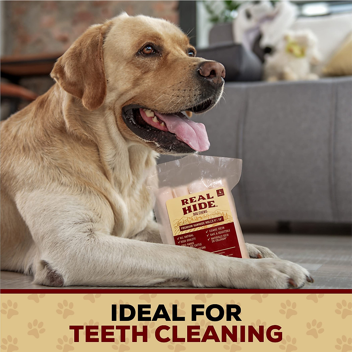 Real Hide | All Natural Dog Chew Treats - Premium Rawhide Rolls, 9-10 Inch - Long Lasting Grass Fed Free Range Beef Hide - Medium/Large Dogs - 4 Count