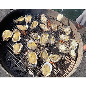 King Kooker 5500 Stainless Steel Oyster Opener, with Oyster Knife