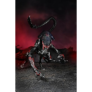NECA - Aliens - Kenner Night Cougar - 7" Action Figure