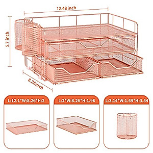 gianotter Office Supplies Desktop workspace Organizer with Drawers and 2 Pen Holder, Desk accessories (Rose Gold)