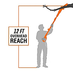 WEN 4019 6-Amp 8-Inch Electric Telescoping Pole Saw