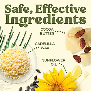 Earth's Daughter Vegan Lip Balm 4-pack, Beeswax Free Lip Balm, Natural, Organic Flavors - Assorted Flavors, Plant Based Vegan Chapstick, Moisturizer