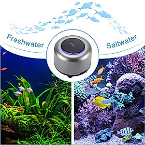 AQQA Aquarium Air Pump Fish Tank Air Pump Quite Aerator Pump Dual Outlets Powerful Adjustable Oxygen Air Pump Hydroponics for Fish Tank Up to 300 Gallon (5W 200GPH)