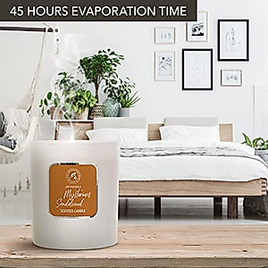Mysterious Sandalwood Scented Candle - Aromatherapy Candle with Essential Oil - Soywax Candle - Up to 45 Hours Burn Time - Glass Candle Gift - Soy Wax Candles for Home Scented - Home Scented Candles