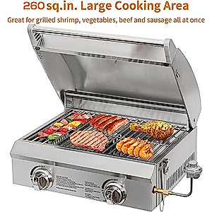Hykolity 20 in. Portable Propane Grill, 20,000 BTU Stainless Steel Tabletop Propane Gas Grill with Travel Locks, Built in Thermometer, Propane Grill for Camping, Outdoor, Cooking, Tailgating