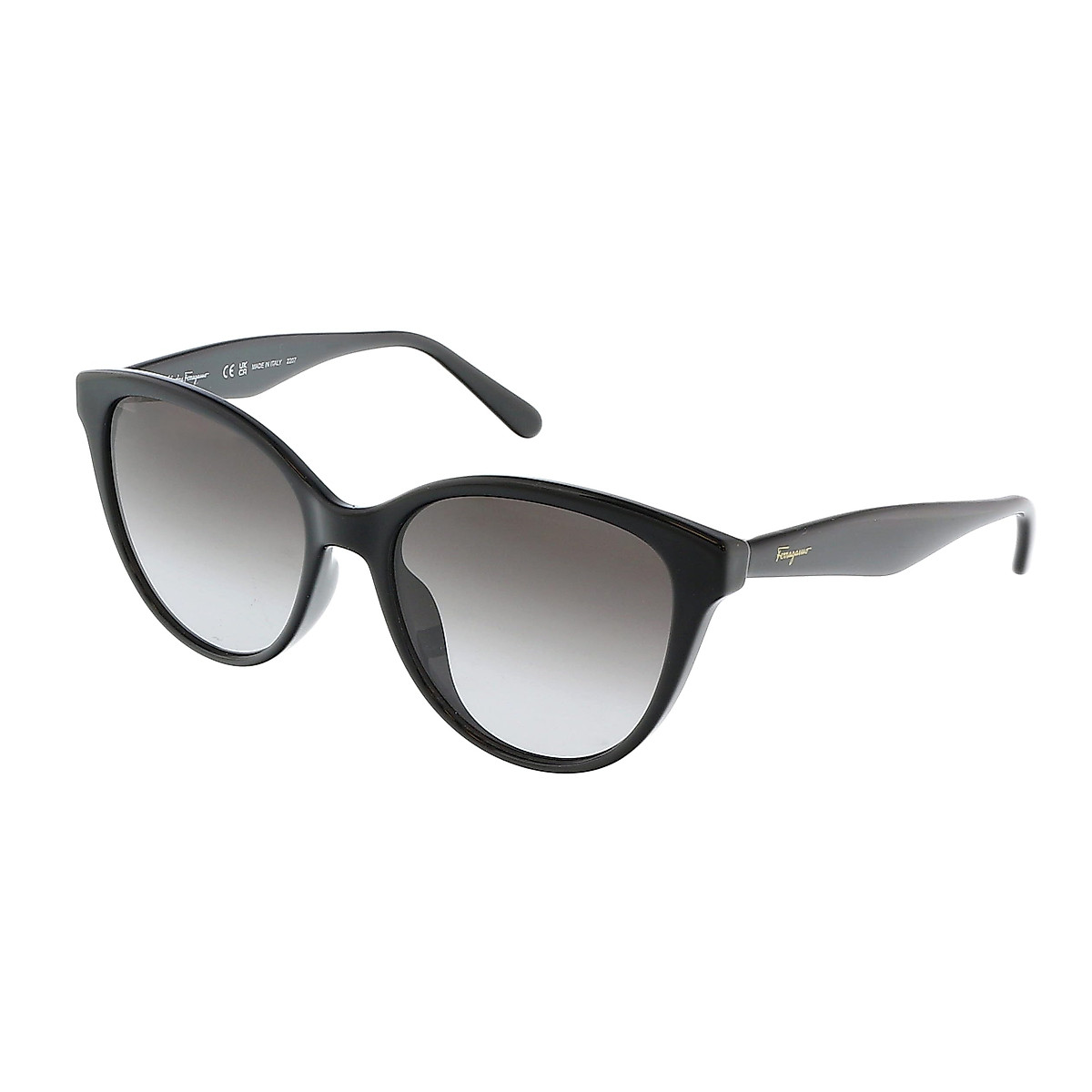 Ferragamo Women's 54Mm Sunglasses, Black