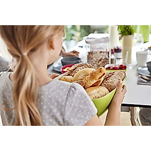 Emsa "Optima" 6.1 oz Rectangular Dry Food Storage-Box, Transparent