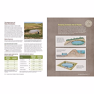 Managing Pasture: A Complete Guide to Building Healthy Pasture for Grass-Based Meat & Dairy Animals