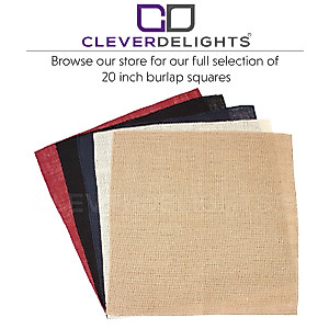 CleverDelights 20 Inch Burlap Squares - 12 Pack - Premium Jute Burlap - Finished Edges - 20" x 20"