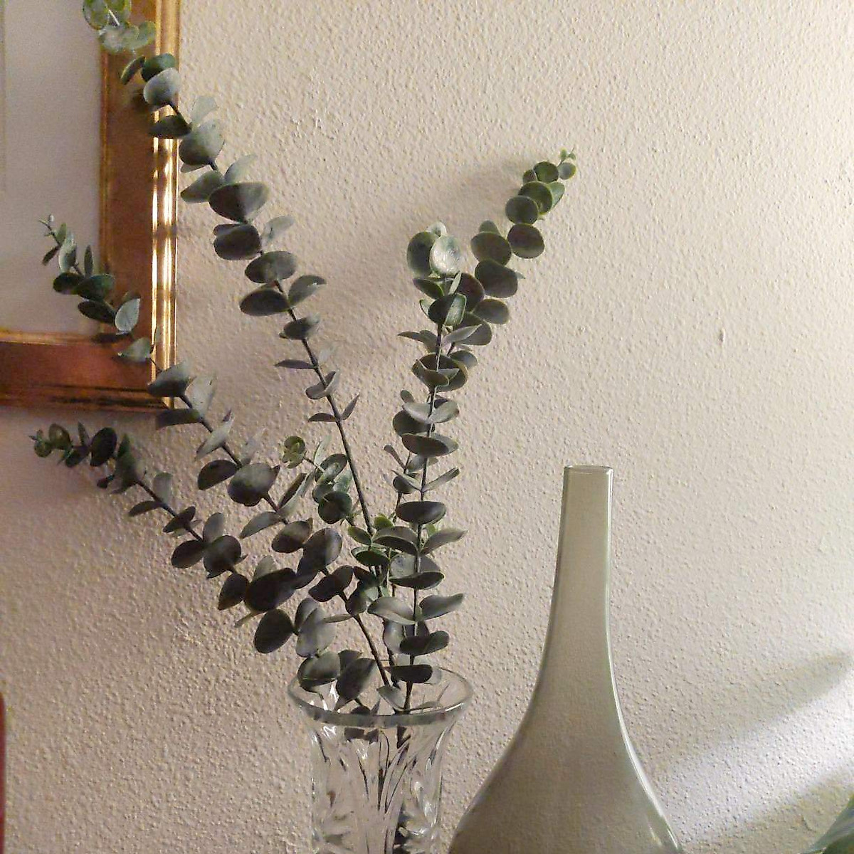 Ollain 5 Pcs Artificial Eucalyptus Greenery Stems Plants 29.5" Tall Fake Eucalyptus Leaves Spray Silver Dollar Eucalyptus Branches Plant for Home Garden Office Store Decoration