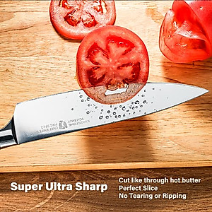 KINGSTONE Chef Knife, Professional Sharp Kitchen Knives, German Stainless Steel Kitchen Knifes, Work chefmate Knives with Sheath & Gift Box