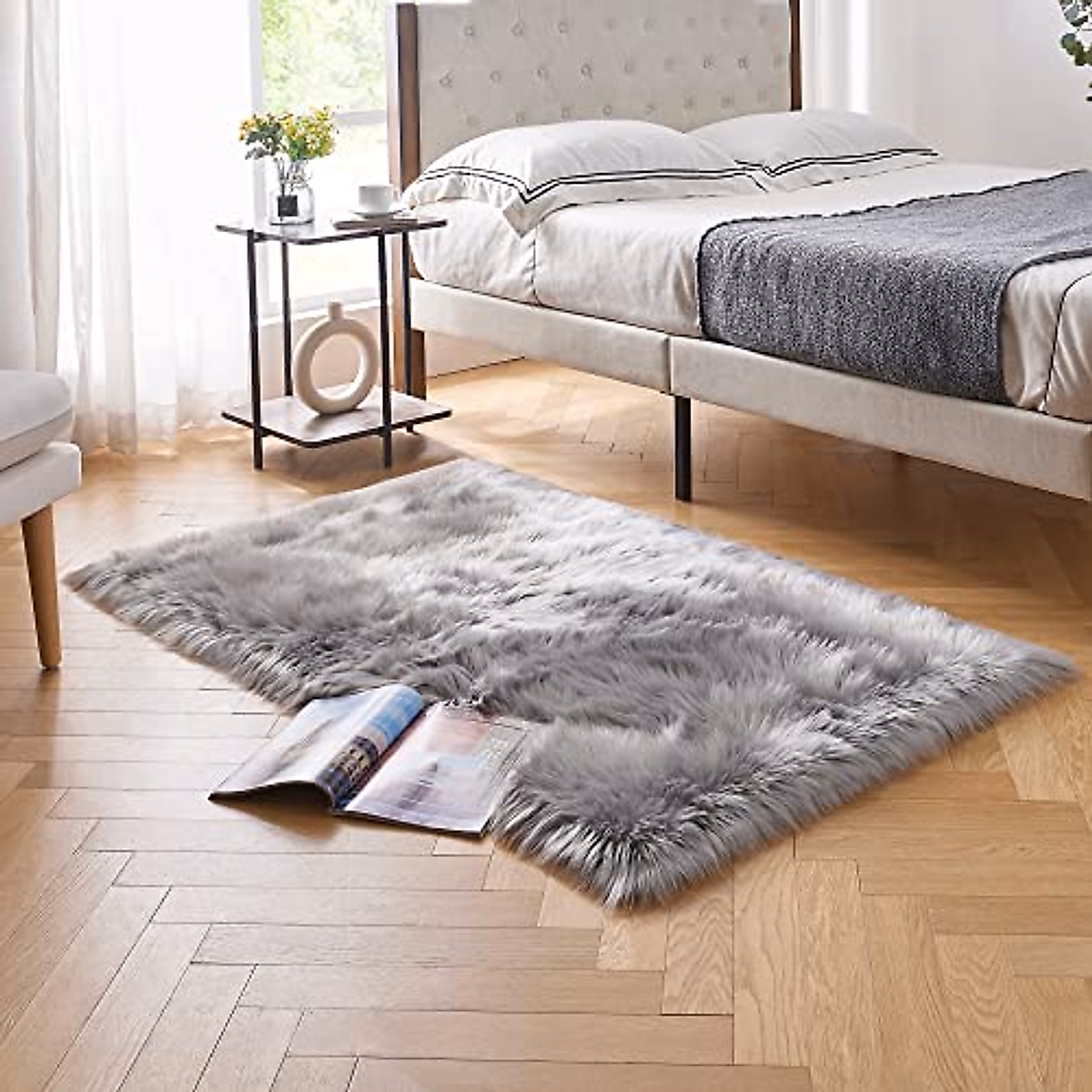 Rainlin Ultra Soft Fluffy Faux Fur Area Rugs for Bedroom Living Room Grey Fuzzy Washable Home Decor Carpets Luxury Plush Shag Rectangular Rugs,3x5 Feet