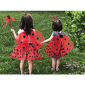 Danballto Ladybug Costume for Toddler Girls Tutu Wings Kids Halloween Costume for Girls Party Favo Dress Up r (red Black)