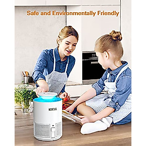 NONTAIL Fruit Fly Traps for Indoors, Mosquito Trap, Catcher & Killer for Gnat, Moth, Flies, Non-Zapper Insect Traps with UV Light Fan & Sticky Glue