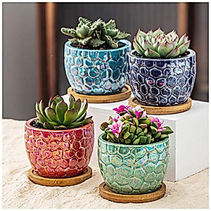 Segreto Succulent Plant Pots Marbling Pattern Flower Pots Ceramic Planter for Cactus Plants Container Bonsai Pots with Bamboo Tray and Drainage Hole for Home Decor,Set of 2
