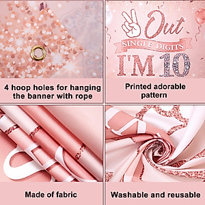 Holkcog Rose Gold Happy 10th Birthday Party Banner Backdrop for 10-Year-Old Girls Double Digits Birthday Girl "I'm 10" Bday Banner Rose Gold 10th Birthday Photo Background 10th Party Decorations supply