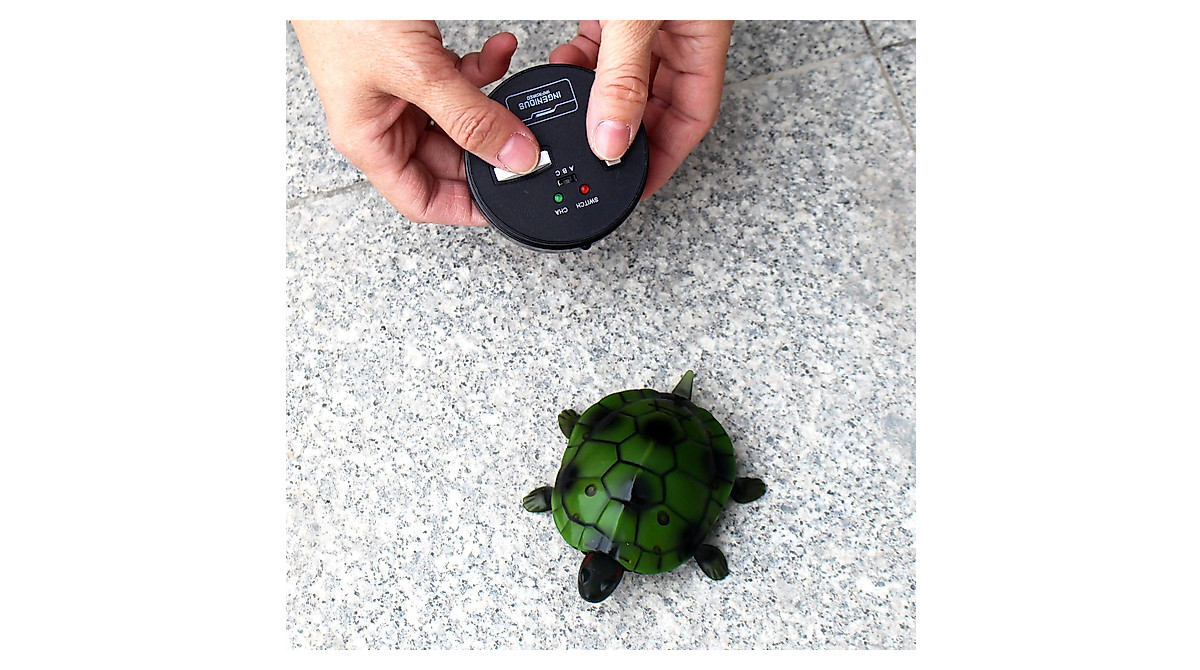 Tipmant RC Turtle Toy - Fun Remote Control for Kids