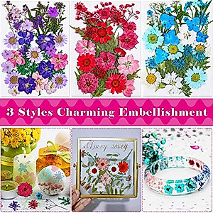 Thrilez 100Pcs Pressed Dried Flowers for Resin Molds, Natural Dried Flower Herbs kit for Scrapbooking Supplies Card Making Supplies Resin Jewelry Making Soap and Candle Making(Blue, Purple, Red)