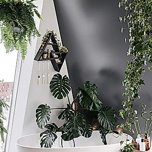 ANROYE Moon Phases Triangle Shelf with Hooks, Wiccan Black Wood Crystal Shelves for Storage Jewelry Gem Stone, Pagan Pyramid Geometrical Decor Holder Display for Altar Meditation Aesthetic Yoga Room