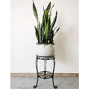 TREEZITEK 18.9inch Tall Plant Stand for Flower Pot Heavy Duty Potted Holder Indoor Outdoor Metal Rustproof Iron Garden Container Round Supports Rack