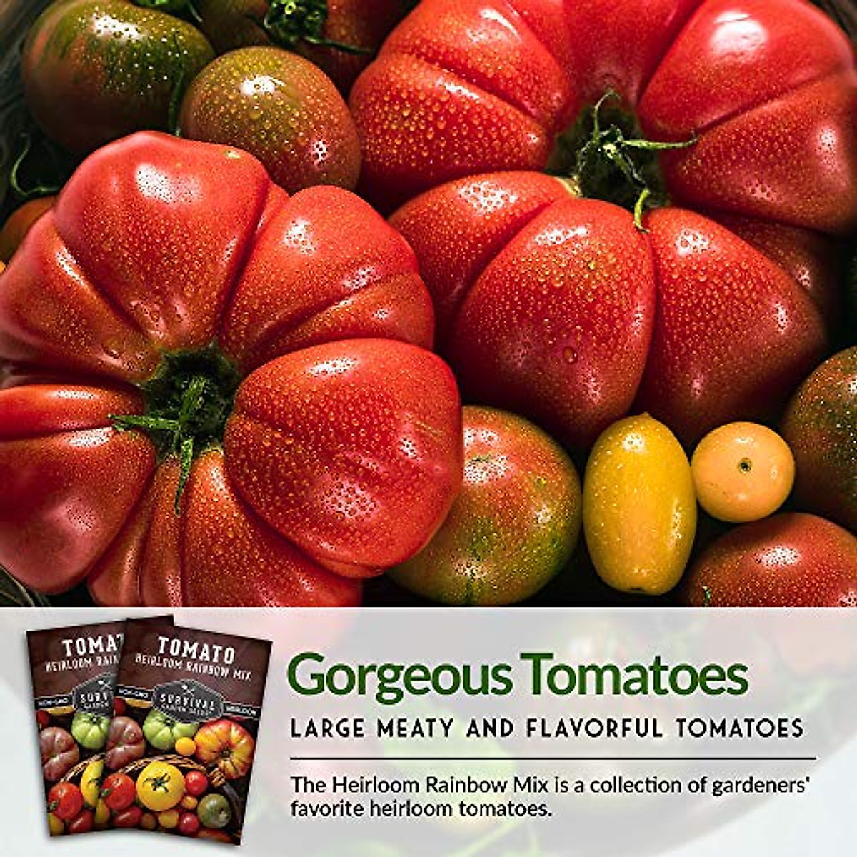Survival Garden Seeds - Heirloom Rainbow Mix Tomato Seed for Planting - Packet with Instructions to Plant and Grow in Your Home Vegetable Garden - Non-GMO Heirloom Variety
