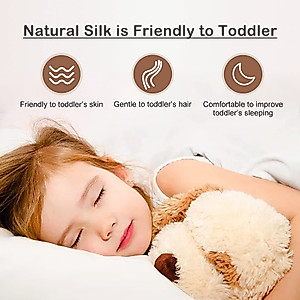 ATreebag Pillowcase 100% Mulberry Silk for Hair and Skin, Double Sided 19 Momme Pure Silk Pillow Case with Hidden Zipper and Gift Box (Silver Grey, 1 PC, Toddler 13"x18")