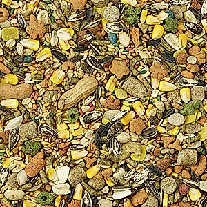 Kaytee Fiesta Pet Mouse and Rat Food, 4.5 Pound