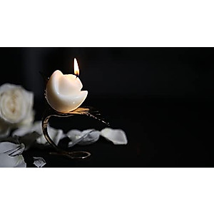 Zestler Bundle Stainless Steel Wax Removal Blade + 6 White Low Temperature Body Safe Rose Candle Refills