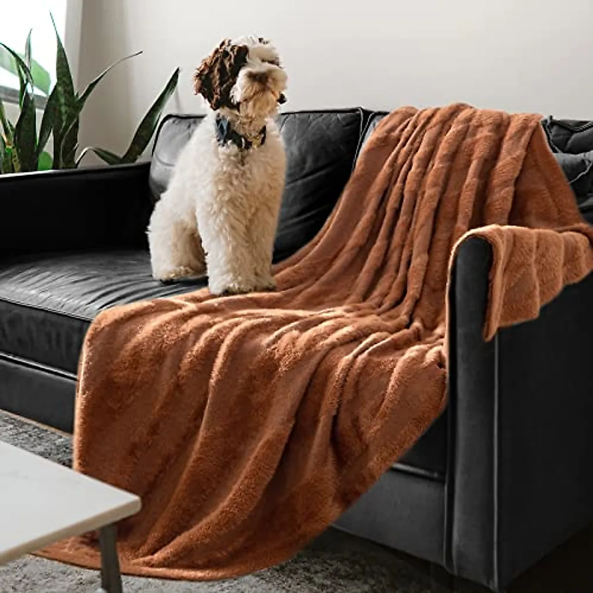 Snuggle Sac Brown Throw Blanket for Couch 50x60 inches, Ultra Soft Terracotta Throw Blanket for Sofa, Bed for Womens Mens