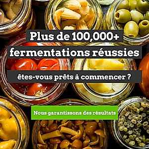 Nourished Essentials - Set of 4 Heavy Glass Fermentation Weights Lids - Grooved Handles - Canning Supplies - for Pickling & Canning - Fits Wide Mouth Mason Jars