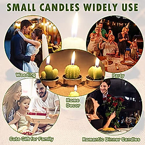 Outee 12 Pcs Cactus Tealight Candles Handmade Delicate Succulent Candle Cactus Candles Smokeless Aromatherapy Mini Candles Tea Lights 12 Styles for Home Décor Birthday Gift Party Wedding SPA