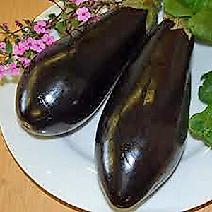 Eggplant,Black Beauty Eggplant Seed, Heirloom, Non GMO, 25 Seeds, Vegetable