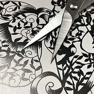 CANARY Small Sharp Scissors for Paper Cut Art and Collage, Professional Mini Scissors with Fine Precision Tips, Japanese Stainless Steel Blade, Papercutting Detail Scissors Tool, Black, Made in JAPAN