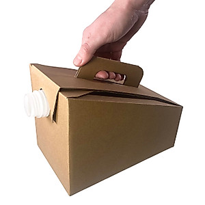 Rimcrow Disposable Coffee To Go Container for Catering Hot or Cold Beverages; 10 Portable and Insulated 96 oz Carafe; Cardboard Coffee Box with Handle; Includes 100 Pack Plastic Stir Sticks