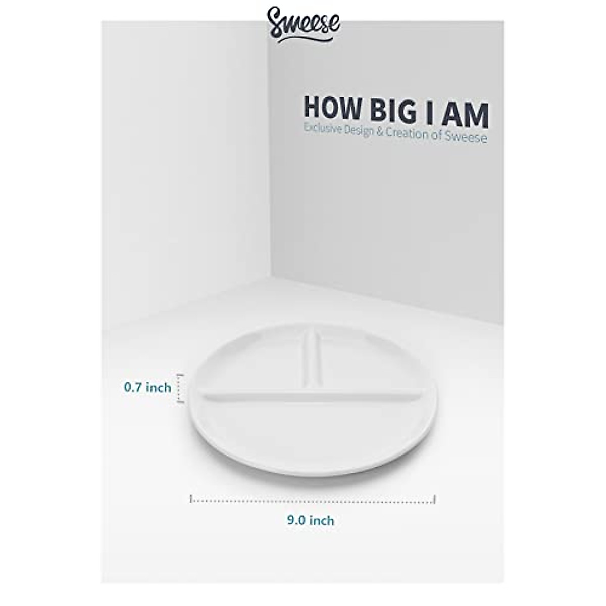 Sweese Portion Control Plates Set of 2, 9 Inch Divided Plates for Adults, Porcelain Dinner Diet Plates for Balanced Meal Building and Weight Loss- White 173.201