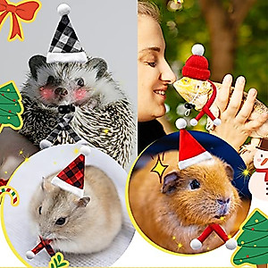 13 Pieces Christmas Bearded Dragon Santa Hat Leash Harness Scarf Set Bearded Dragon Lizard Christmas Outfits Costume Leash Harness Scarf and Hat Wings Accessories for Reptile Small Pet Animals