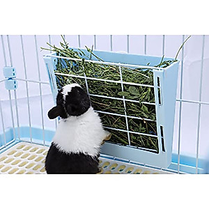 RUBYHOME Hay Feeder for Rabbits, Guinea Pigs, and Chinchillas - Minimize Waste and Mess with 9 1/4" x 3 3/4" x 8" Hanging Alfalfa and Timothy Hay Dispenser (Blue)