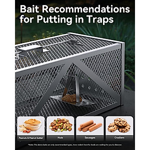 BAOYER Humane Mouse Traps Reusable Catch and Release Live Mouse，Metal Rat Trap That Work，Catch Moles, Voles, Chipmunks
