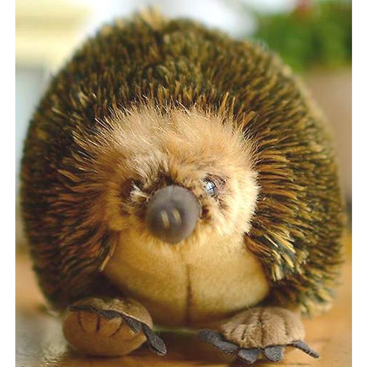 TAMMYFLYFLY Lifelike Echidna Plush Stuffed Animal Toy Echidna Animal Model (20CM)